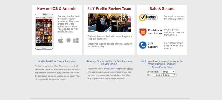 Fling.com Review - One-Night Dating For Adult People